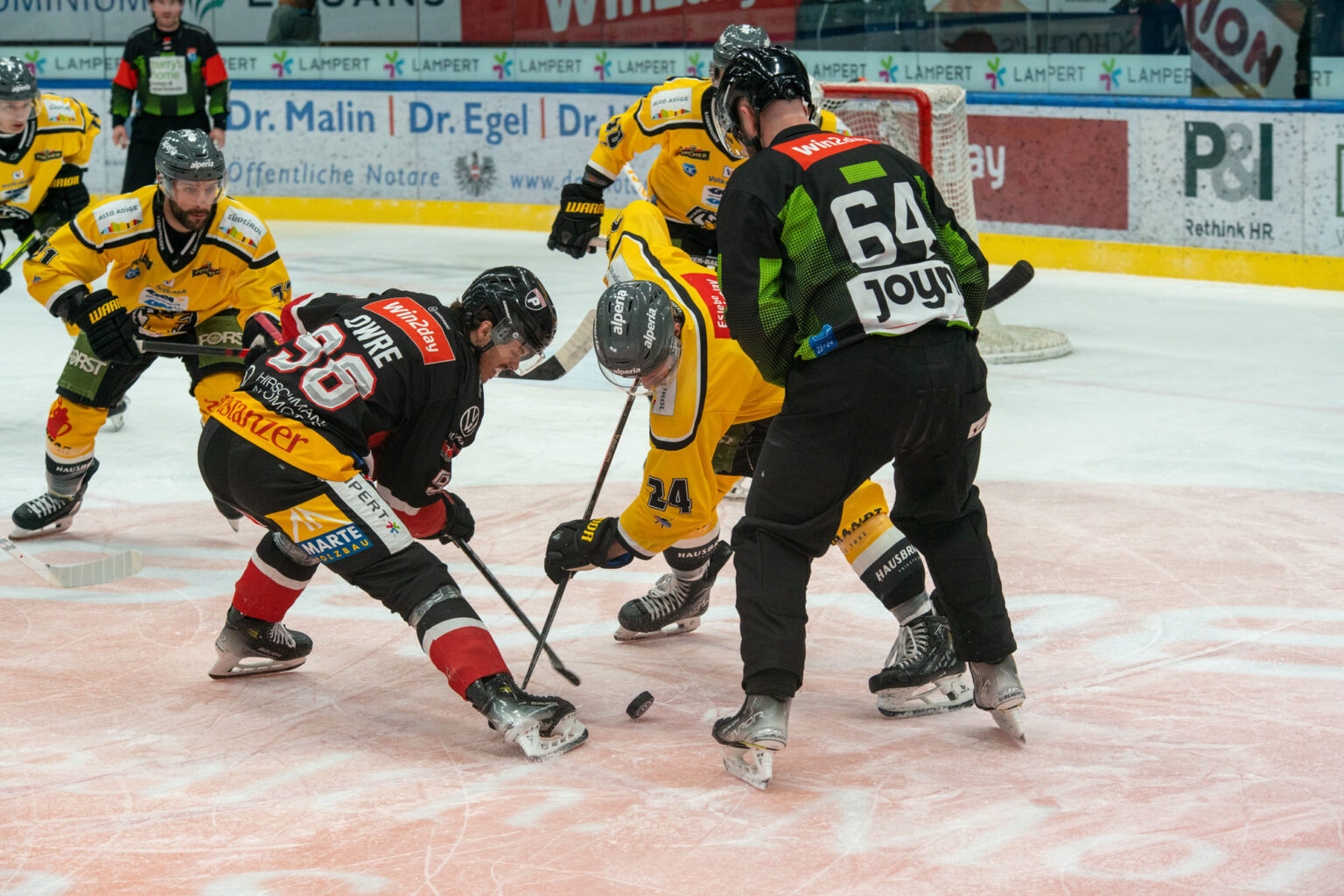 Pioneers besiegen HCP und starten am Sonntag auswärts ins Pre-Playoff ...